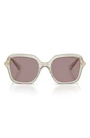 SWAROVSKI Swarovski 50mm Irregular Sunglasses Transparent Beige/violet
