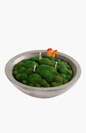 SOUTHLAKE GIFTS Scented Candle Bowl - Grass Moss
