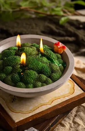 SOUTHLAKE GIFTS Forest Moss Candle Bowl