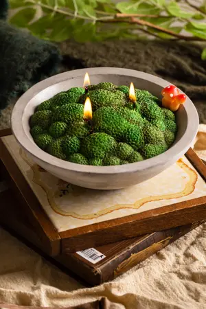 SOUTHLAKE GIFTS Forest Moss Candle Bowl