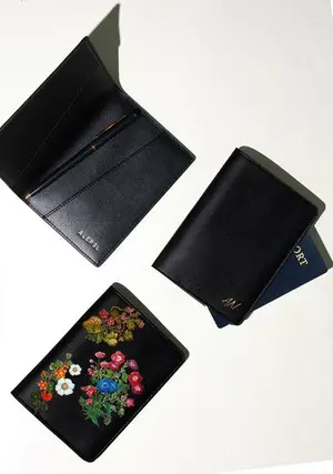 ALEPEL Passport Holder - Multicolor