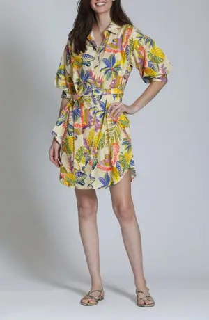 APNY Print Cotton Shirt Dress - Blue Olive Multi