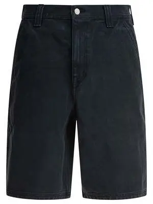 StÜssy Shorts