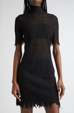 Alexander McQueen Cobweb Lace Minidress