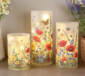 VALERIE PARR HILL Set Of 3 Illuminated Wildflower Hurricanes Valerie - One-color