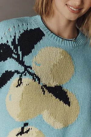 Maeve Graphic Intarsia Crew-neck Pullover Sweater - Light Blue