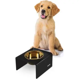 THE LICKER STORE Keaton Modern Lucite Rectangular Elevated Pet Feeder With 2-stainless Steel Bowls - Black/gold - Single
