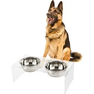 THE LICKER STORE Keaton Modern Lucite Rectangular Elevated Pet Feeder With 2-stainless Steel Bowls - Clear/chrome
