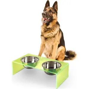THE LICKER STORE Keaton Modern Lucite Rectangular Elevated Pet Feeder With 2-stainless Steel Bowls - Green/chrome