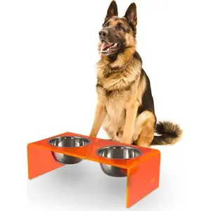 THE LICKER STORE Keaton Modern Lucite Rectangular Elevated Pet Feeder With 2-stainless Steel Bowls - Pink/chrome