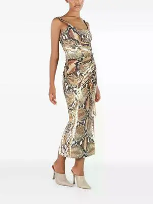 Roberto Cavalli Python-print Midi Dress