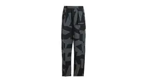 Adidas Terrex Xploric Printed Cargo Pant Joggers