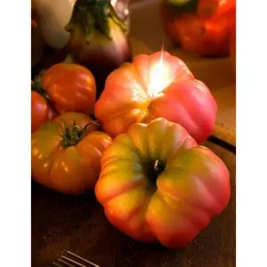 INTRONA Pomodoro Tomato Wax Candle 220g