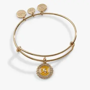 Alex And Ani Everyday Bracelets