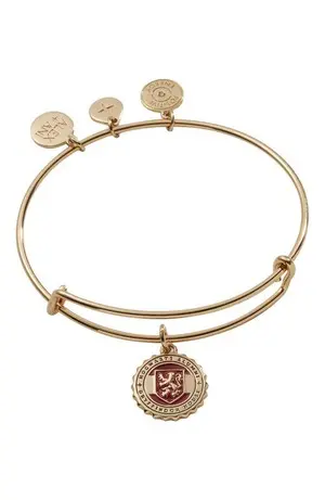 ALEX AND ANI Harry Potter™ Gryffindor House Charm Bangle Bracelet - Gold