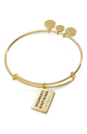 ALEX AND ANI Harry Potter™ Acceptance Letter Charm Bangle Bracelet
