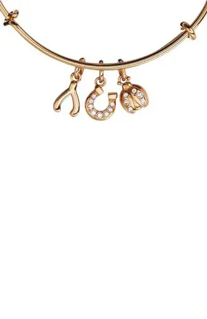ALEX AND ANI Love And Luck Multi-charm Bangle Bracelet