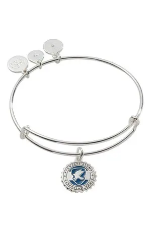 ALEX AND ANI Harry Potter™ Ravenclaw House Charm Bangle Bracelet - Silver