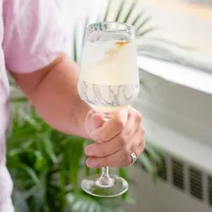 HOST Stemmed Wine Freeze Cooling Cup Set Of 2