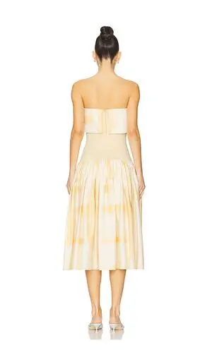 Alexis Robia Dress
