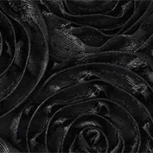 ROGER VIVIER Satin Efflorescence Clutch - Black