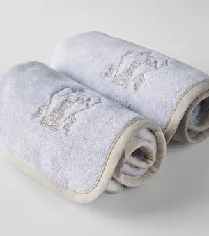 Brunello Cucinelli Set Of 2 Cotton Terry Hand Towels - Grey