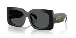 Versace Versace VE4496U Sunglasses Noir