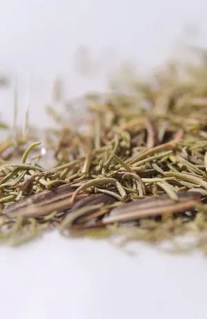 PYUNKANG YUL Oil - None