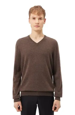 Gobi Cashmere Essential V-neck Cashmere Sweater - Cocoa