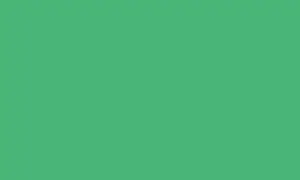 LEISURE LAB Towel Relaxed Short - Mint
