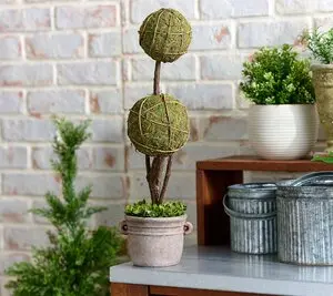 COZY COTTAGE BY LIZ MARIE Double Ball Topiary With Pot - One-color