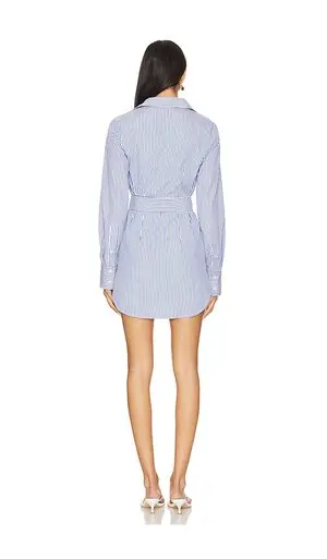 ALL THE WAYS Avalia Mini Dress