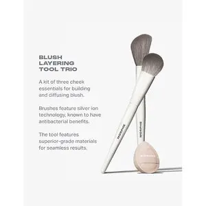 MORPHE Blush Layering Tool Trio