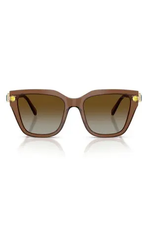 SWAROVSKI 53mm Embellished Sunglasses - Brown/brown Polar