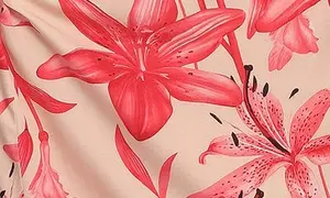 PETAL & PUP Lani Floral Strapless Maxi Dress