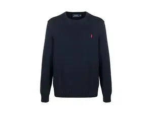 Polo Ralph Lauren Cotton Crew Neck Long Sleeve Pullover - Blue
