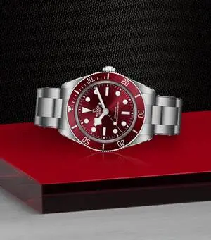 TUDOR Black Bay 58 Stainless Steel Diver Watch
