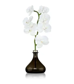 SENTI Pepper & Spice The Orchid Diffuser - Black
