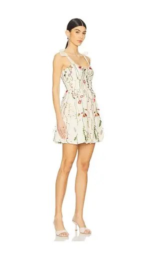 Steve Madden Floral Embroidered Tie-strap Dress