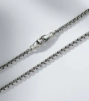 David Yurman Sterling Chain Bracelet