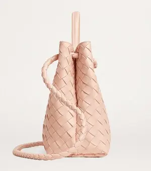 Bottega Veneta Small Andiamo Chain Shoulder Bag