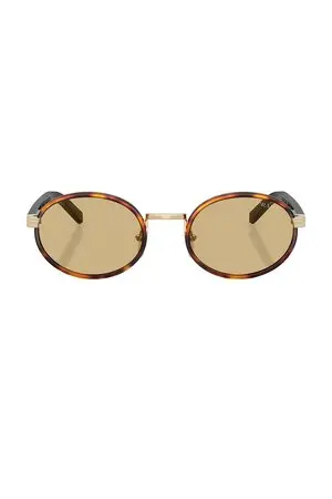 Prada Round Frame Sunglasses - Root Tortoise