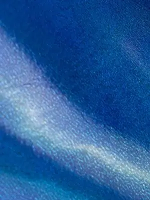 Roberto Cavalli Pointed-toe Mules