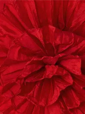 ANDRES OTALORA No Me Olvides' Appliquéd Pleated Taffeta Top - Red
