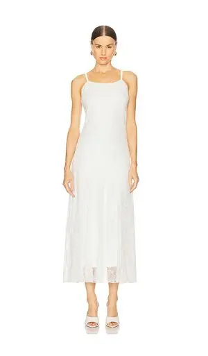 Steve Madden Lace Day Dresses