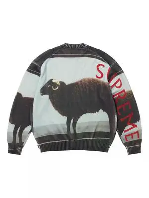 Supreme X Damien Hirst Intarsia-knit Sweater - Black