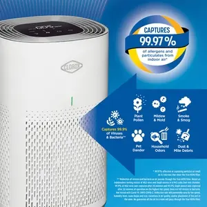 CLOROX Room True Hepa Air Purifier
