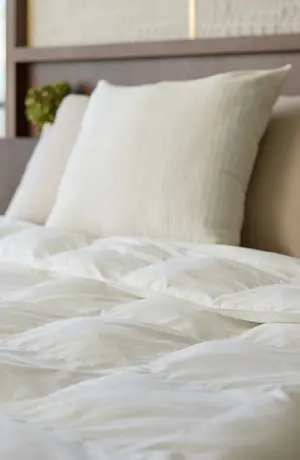 Cozy Earth Down Alternative Comforter