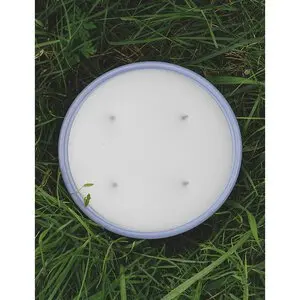 Loewe Verveine Outdoor Candle 900g