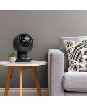 IRIS Usa Woozoo Fan With Remote